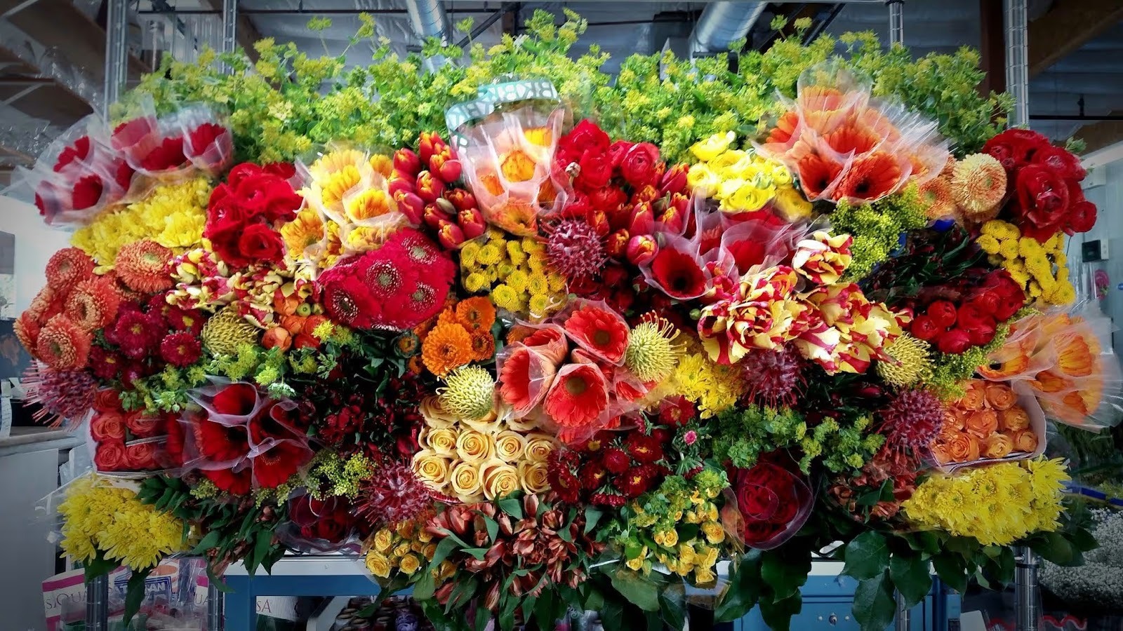 Top 5 Places to Buy Flowers in Bulk